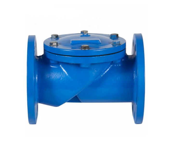 Rubber Flap Check Valve from China Manufacturer - WESDOM